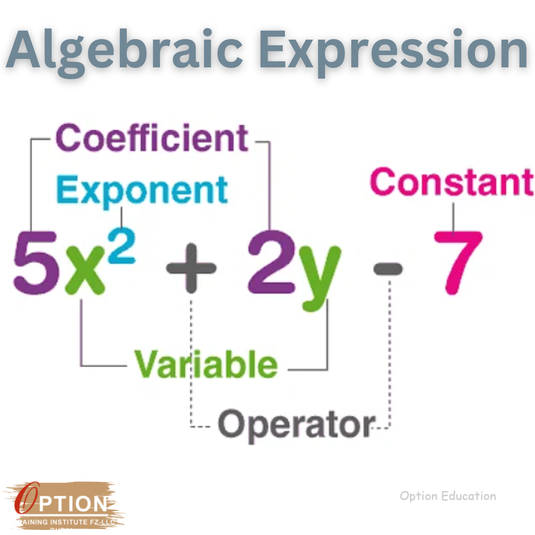 Unveiling the Power of Algebraic Expressions: Option's Guide